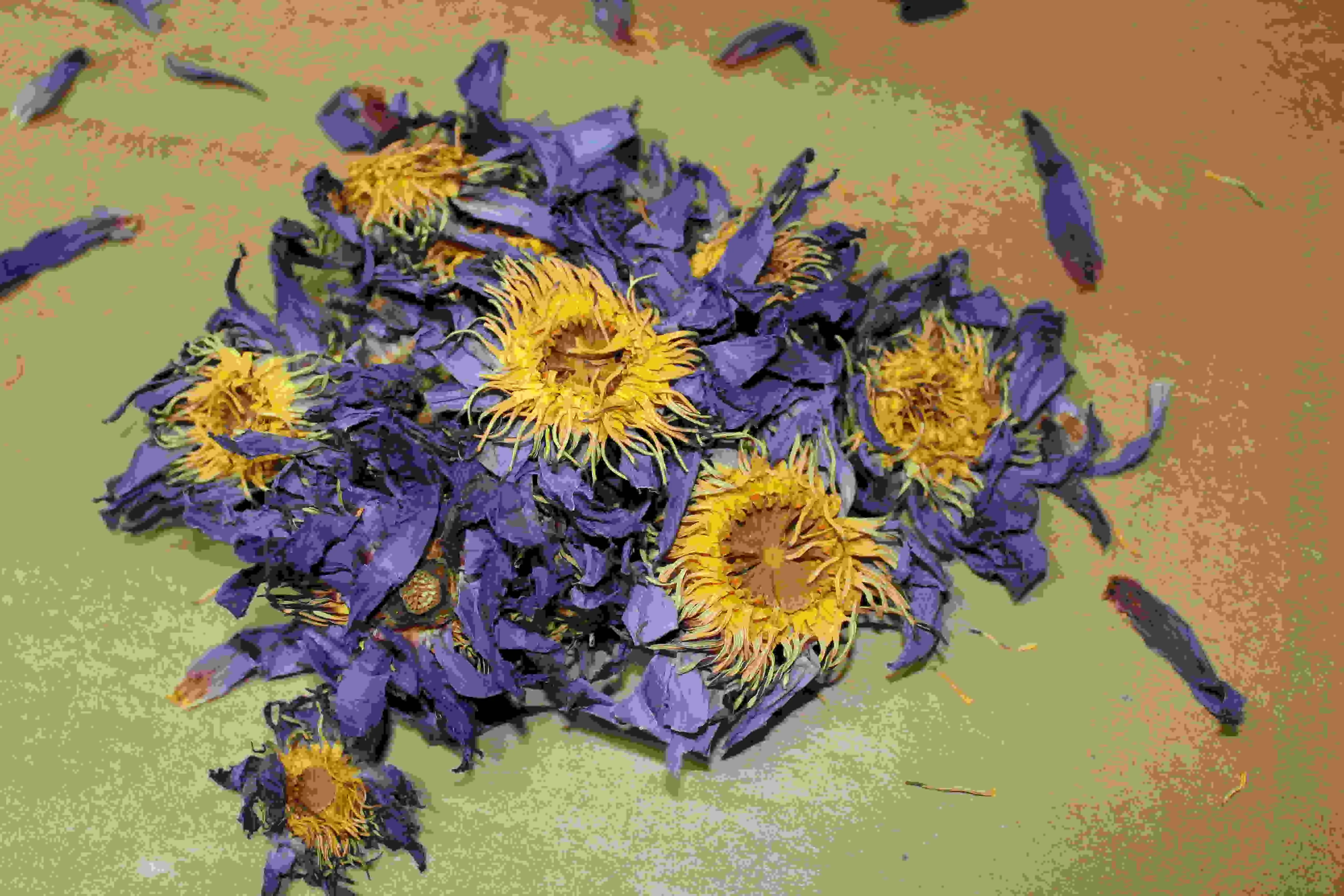 Organic Blue Lotus Loose Leaf Tea, 28g (1 Oz) - Walmart.com