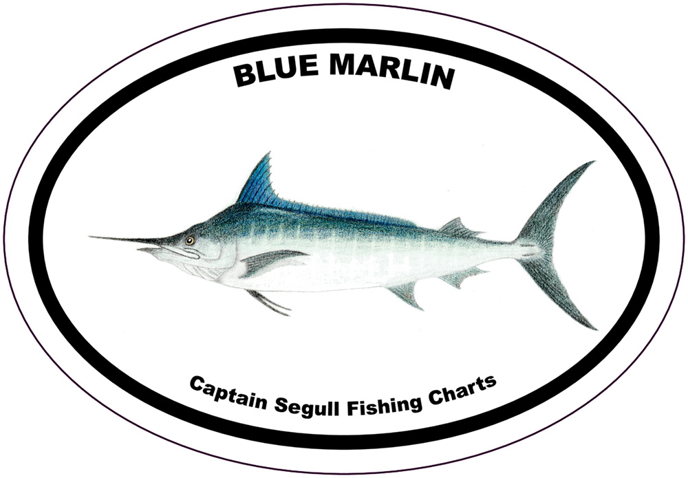 Blue Marlin Bumper Sticker - Walmart.com