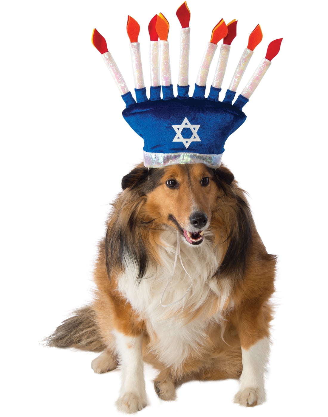 Imagine by Rubie's Blue Menorah Pet Hat, Hanukkah Dog Costume with Star ...