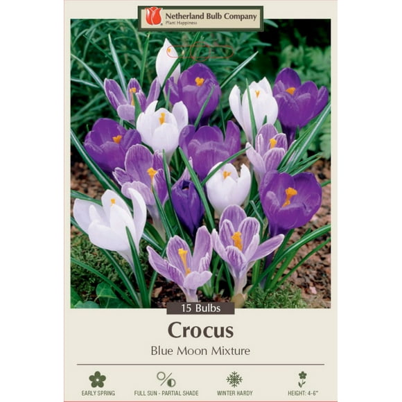 Crocus Bulbs in Plant Bulbs - Walmart.com