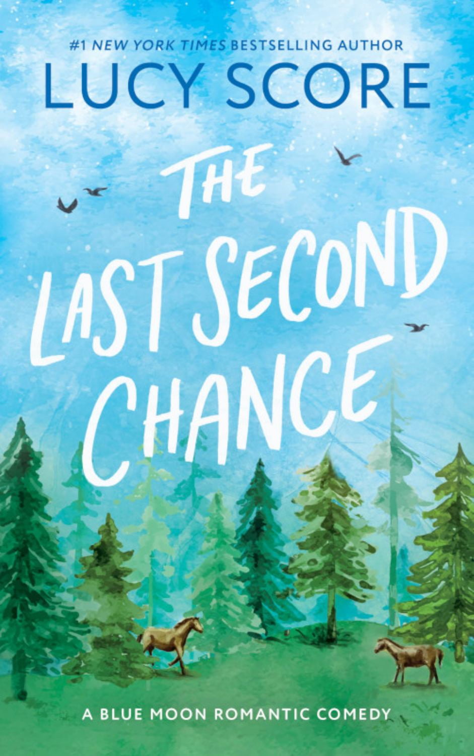 Lucy Score The Last Second Chance Paperback Novel about Love and Second ...