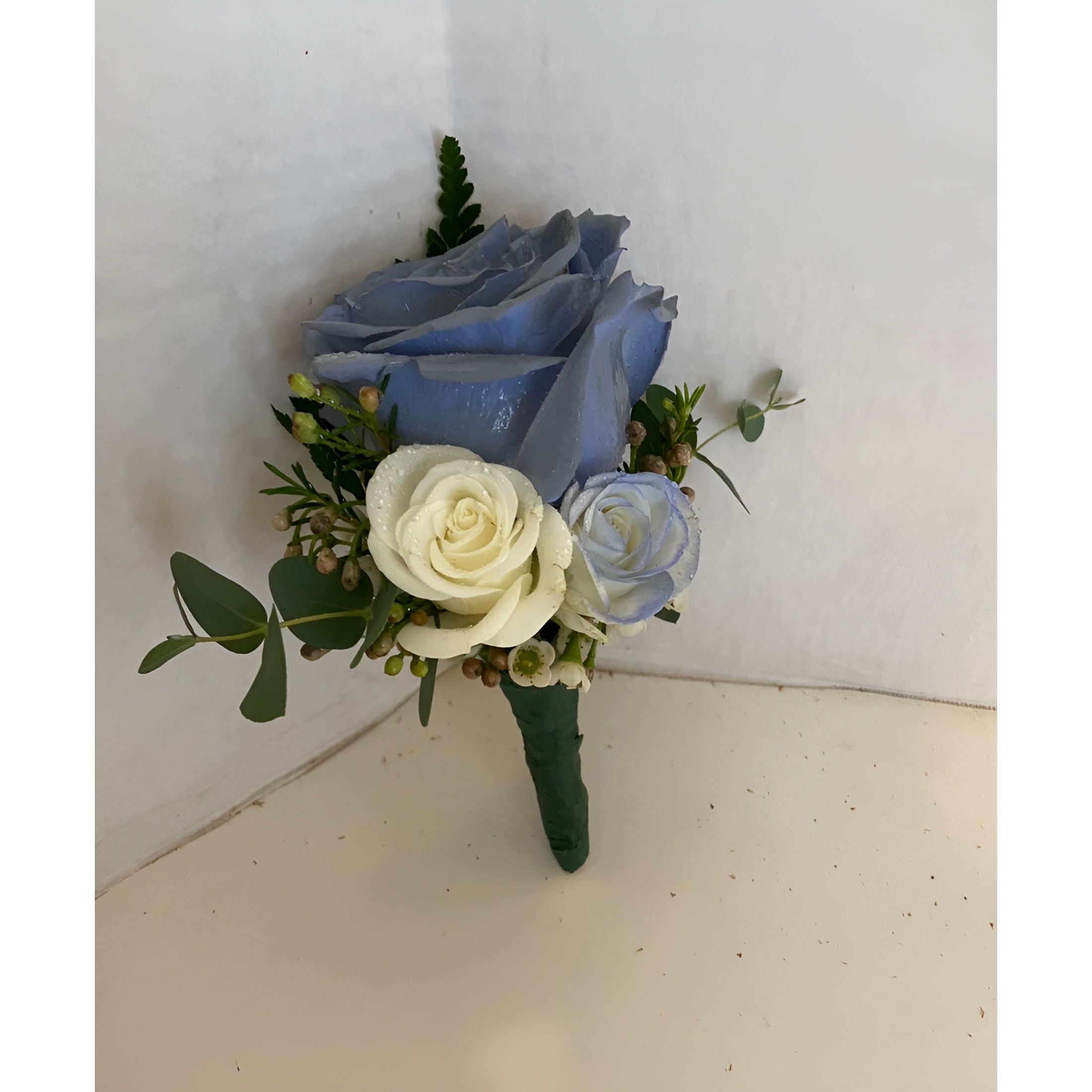 Blue Moon - Walmart.com