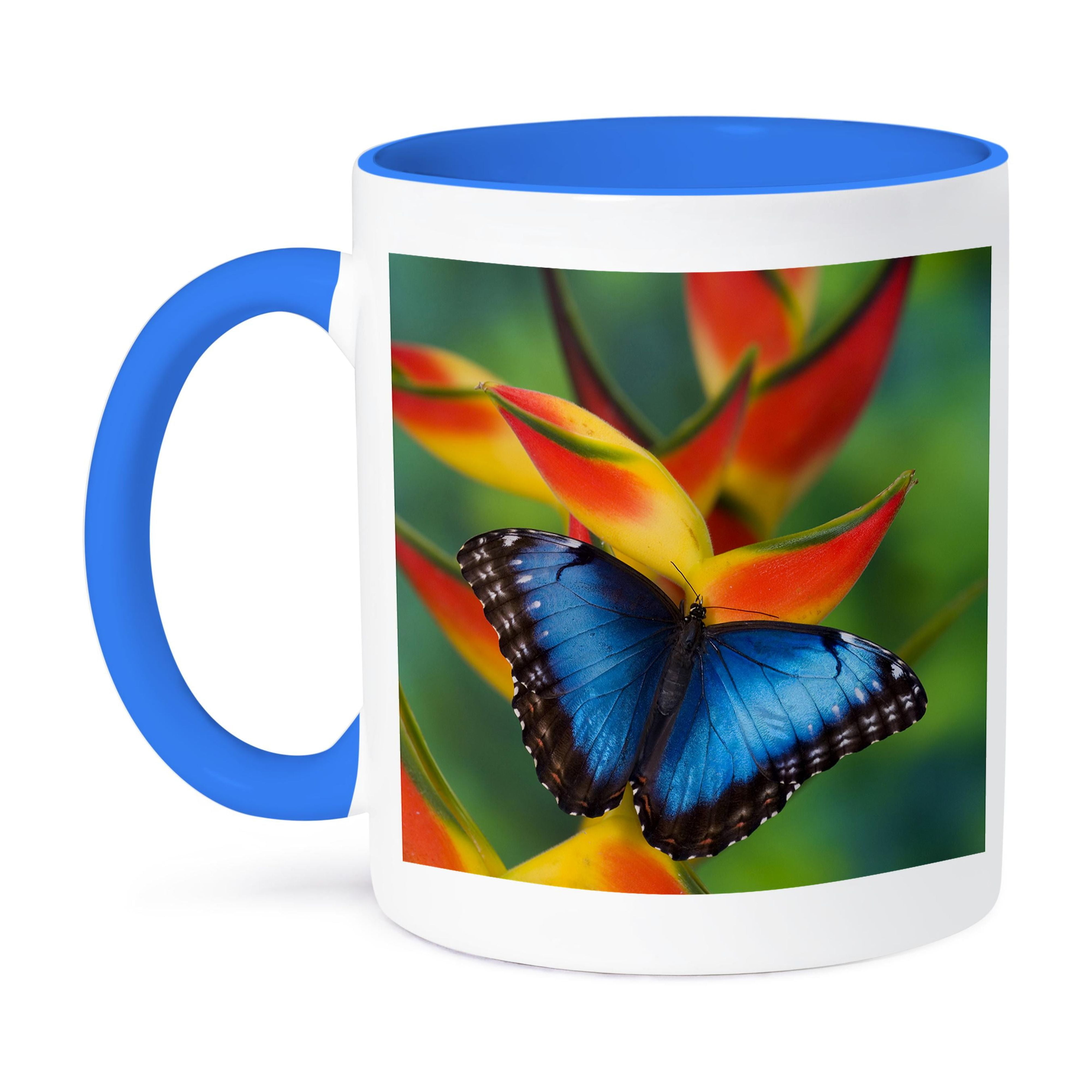 3drose, Blue Morpho Butterfly, Morpho Granadensis, Sitting on Heliconia ...