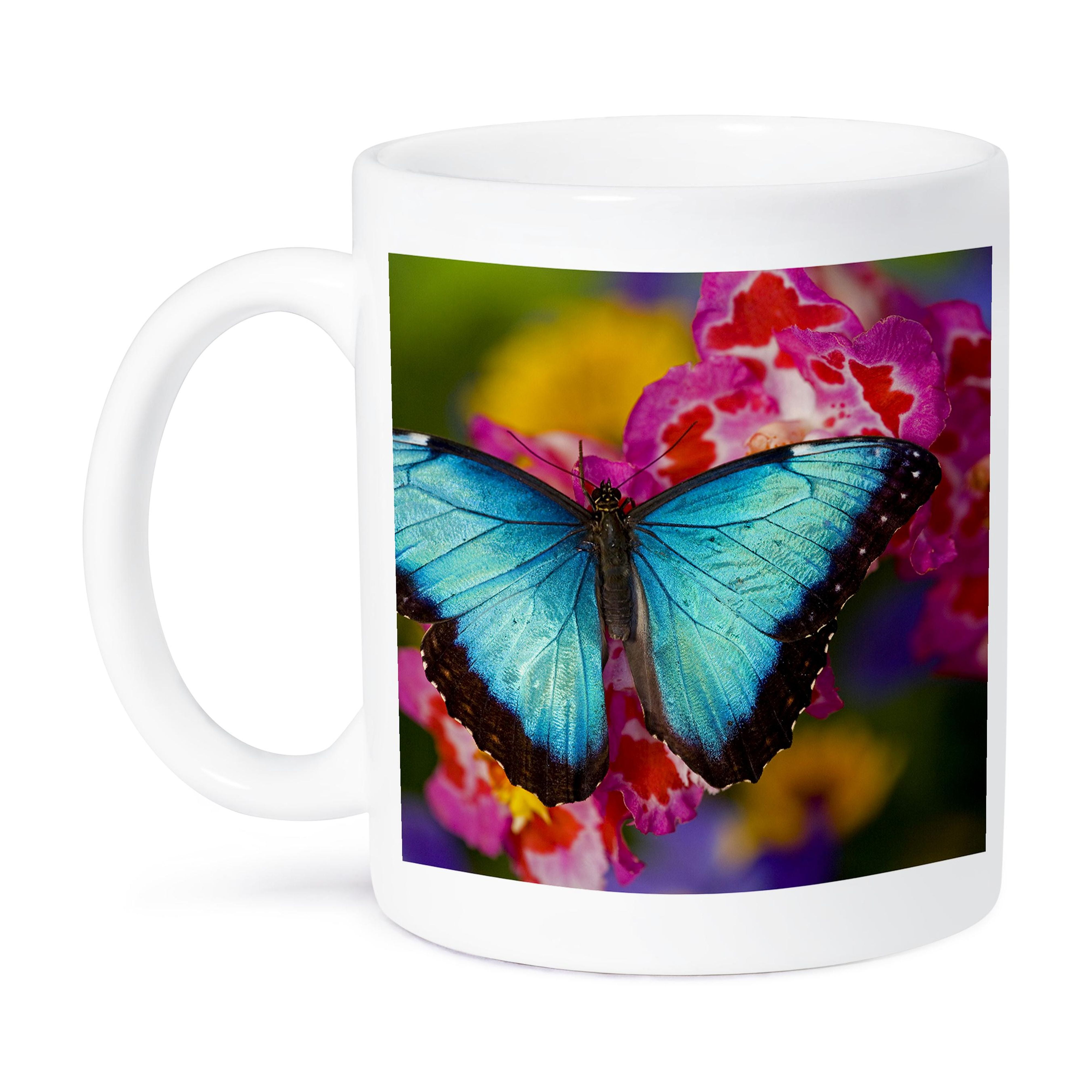 3drose, Blue Morpho Butterfly, Morpho Peleides, on Pink Orchid, 15oz ...