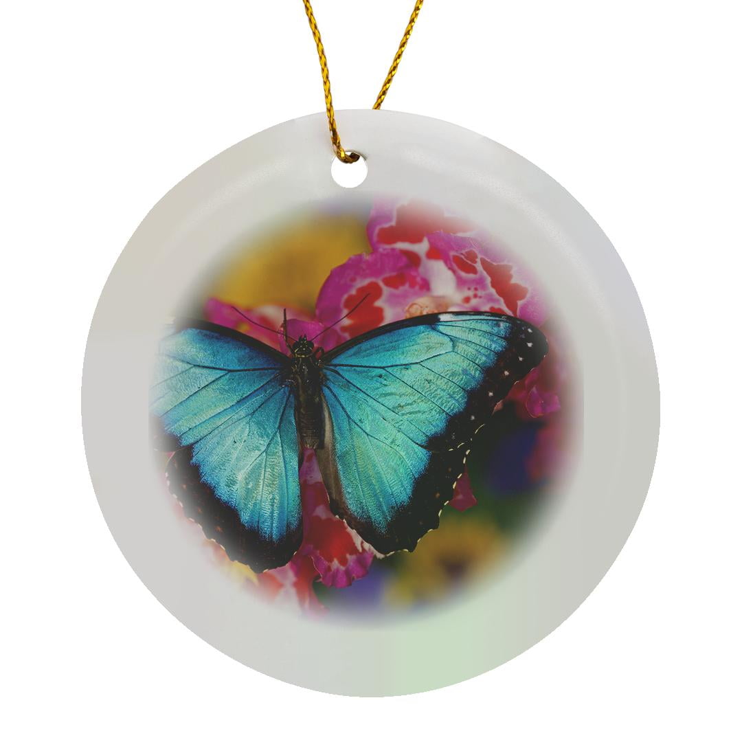 3drose, Blue Morpho Butterfly, Morpho Peleides, on Pink Orchid, Circle ...