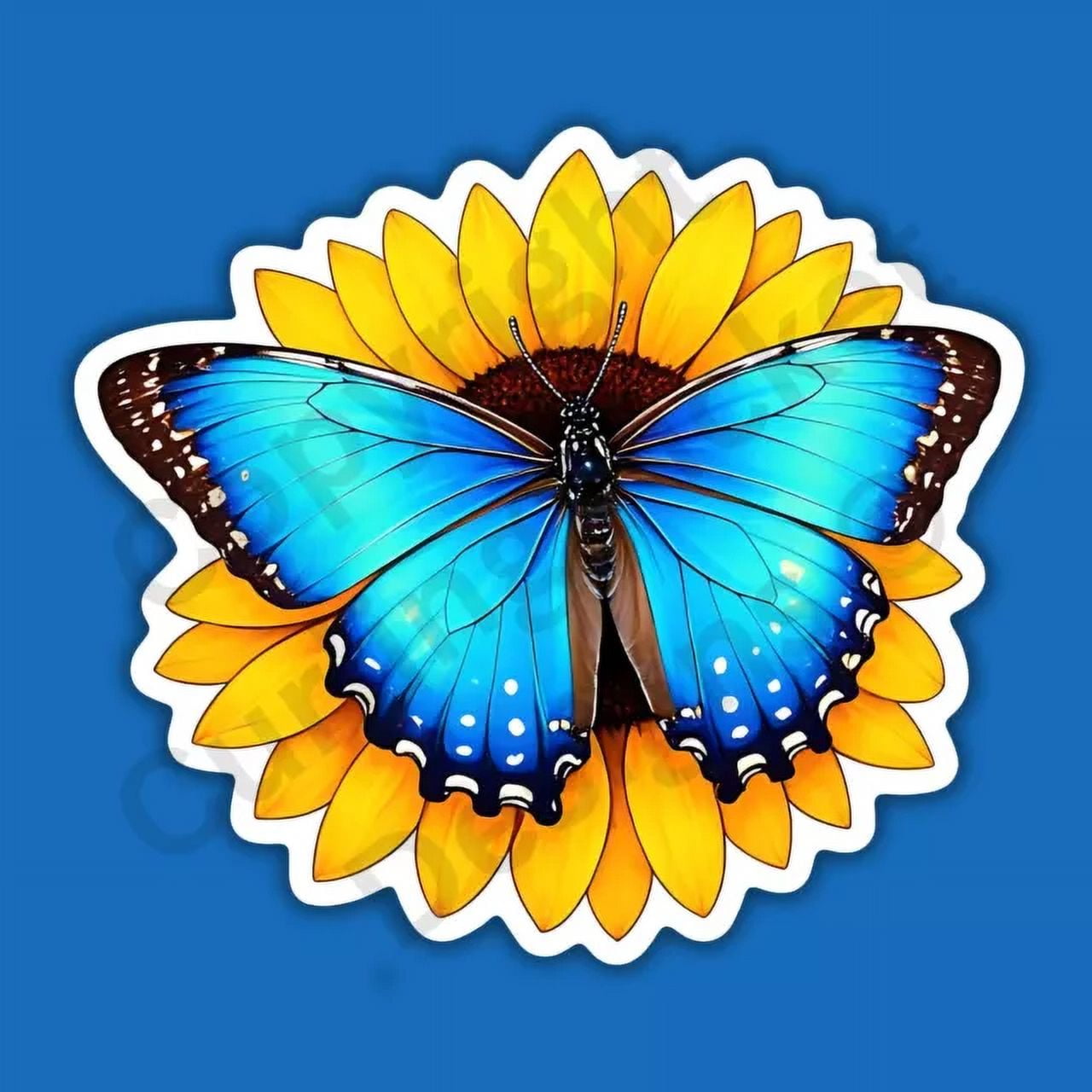 Blue Morpho Butterfly Resting On A Sunflower Pretty Sticker Phone Decal ...