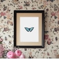 Blue Morpho Butterfly Wall Art Print, Unframed Paper Poster 8x10in ...