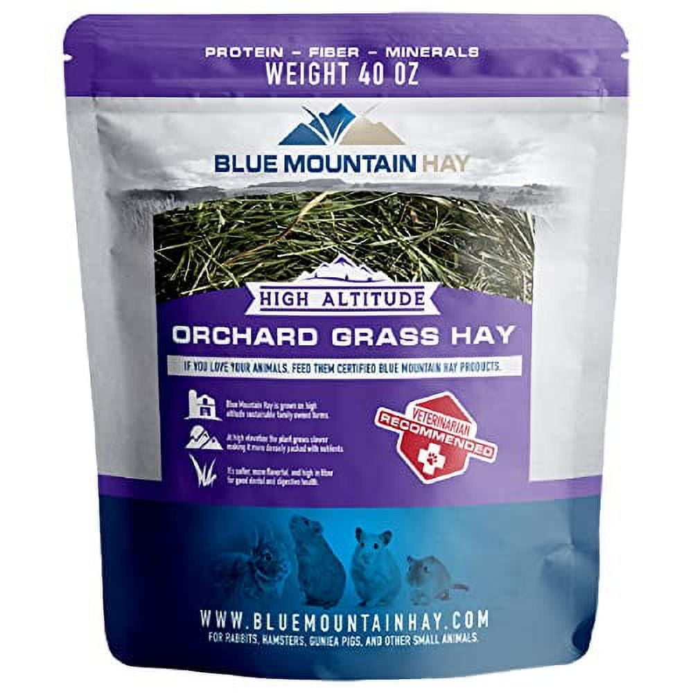 Blue Mountain Hay | 40 oz. Fresh Orchard Grass Hay | Available in 15 oz ...