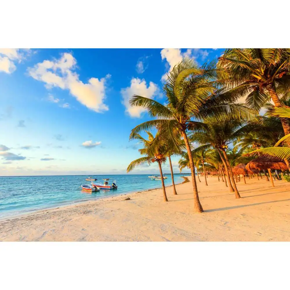 Blue Ocean Beach Backdrop Tropical Summer Background Ship Boat Wharf ...