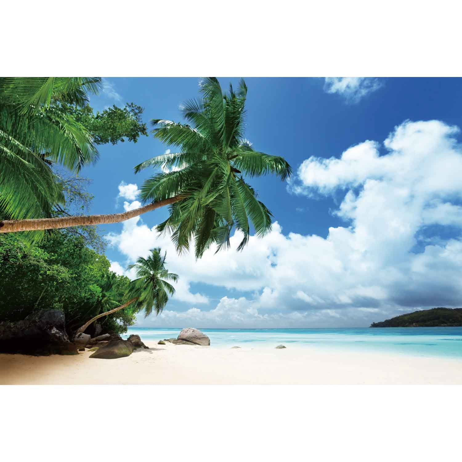 Blue Ocean Beach Backdrop Tropical Summer Photography Background Sunset ...