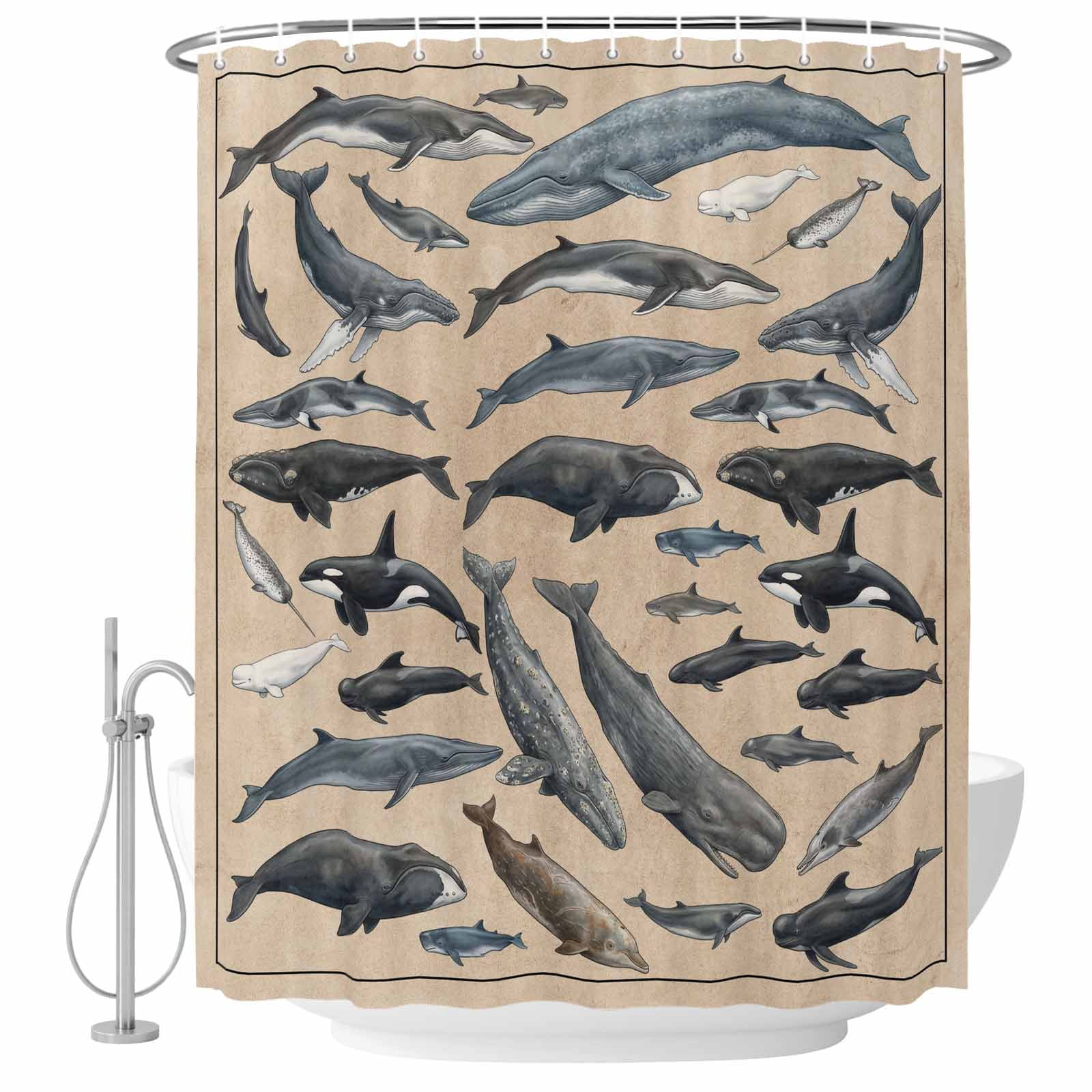 Shower Curtain With Whales