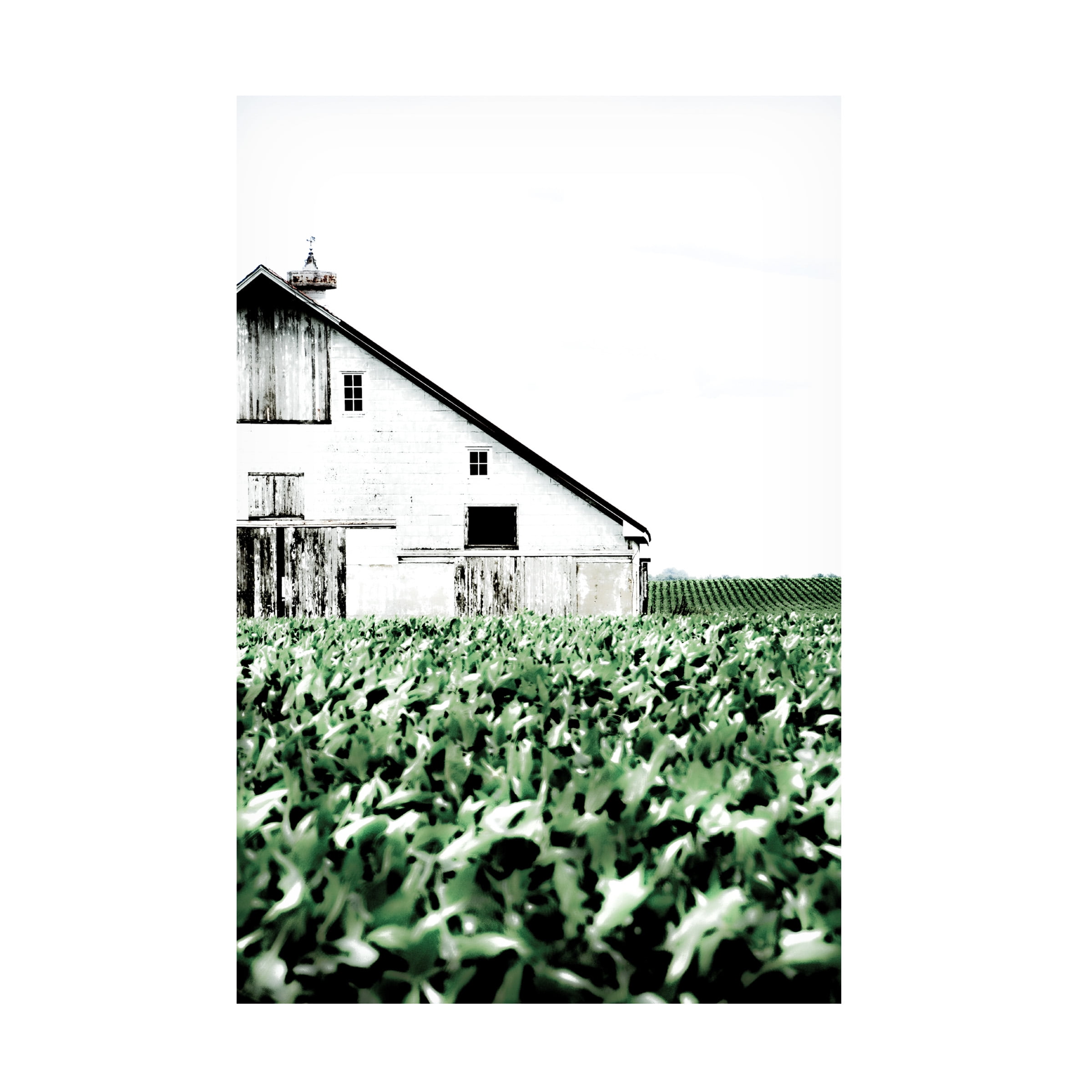 Blue Palomino 'Barn In Crop Rows Half' Canvas Art - Walmart.com
