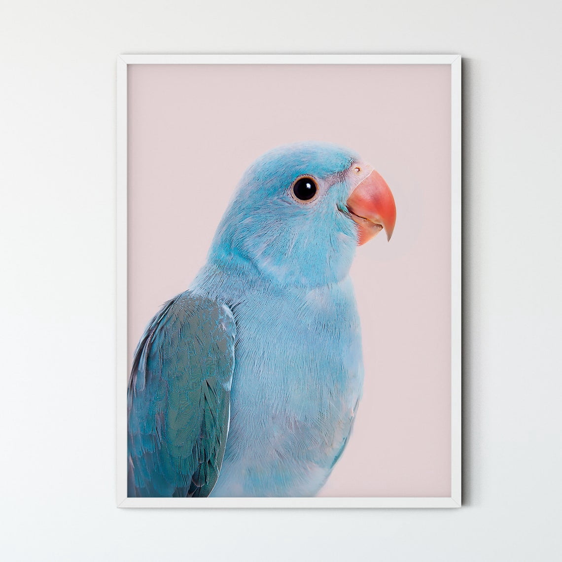 Blue Parrot Wall Art Print, Tropical Bird Decor - Walmart.com
