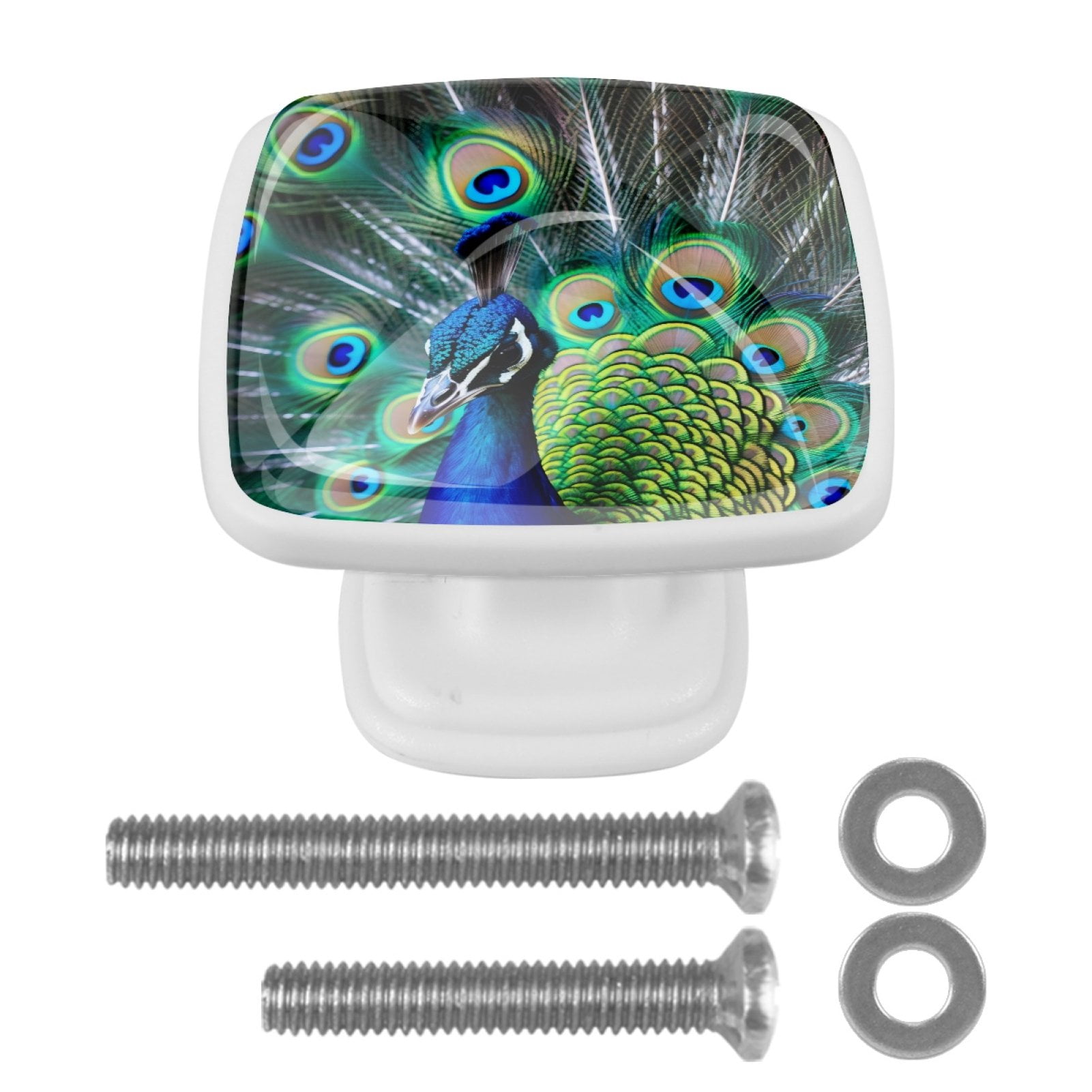 Blue Peacock Colorful Feather Cabinets Door and Drawers Knobs Pulls ...