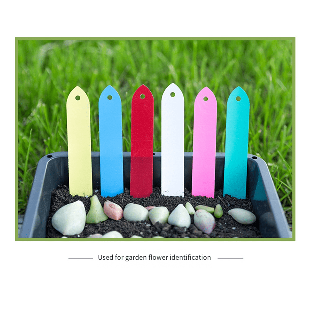 Blue Plant Labels, Nursery Plastic Plant Labels 6 Colors, Nursery ...