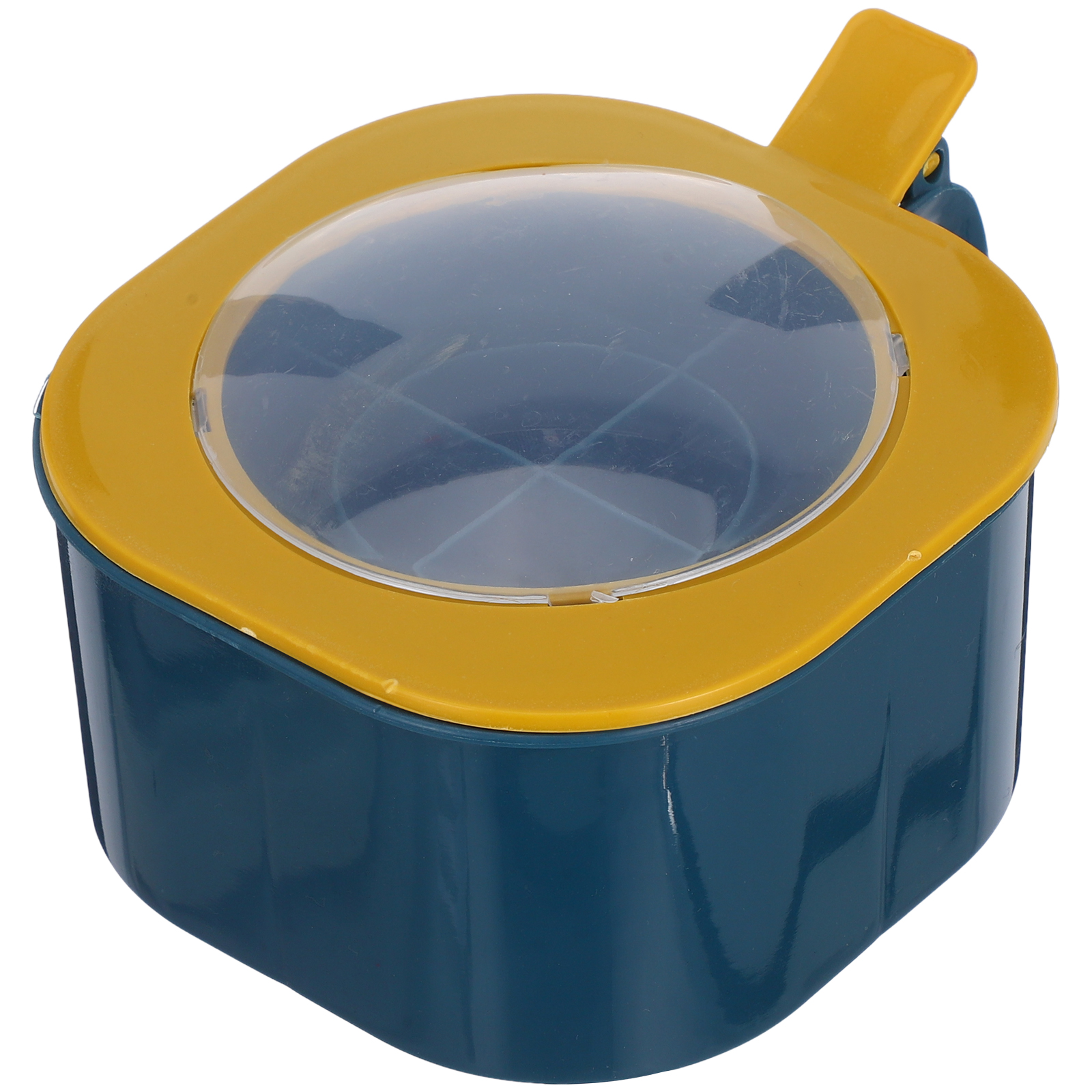 Blue Plastic Seasoning Box with Spoon 4 Compartments for Salt Sugar ...