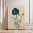 Blue Poppy Botanical Wall Art Vintage Floral Illustration Home Decor ...