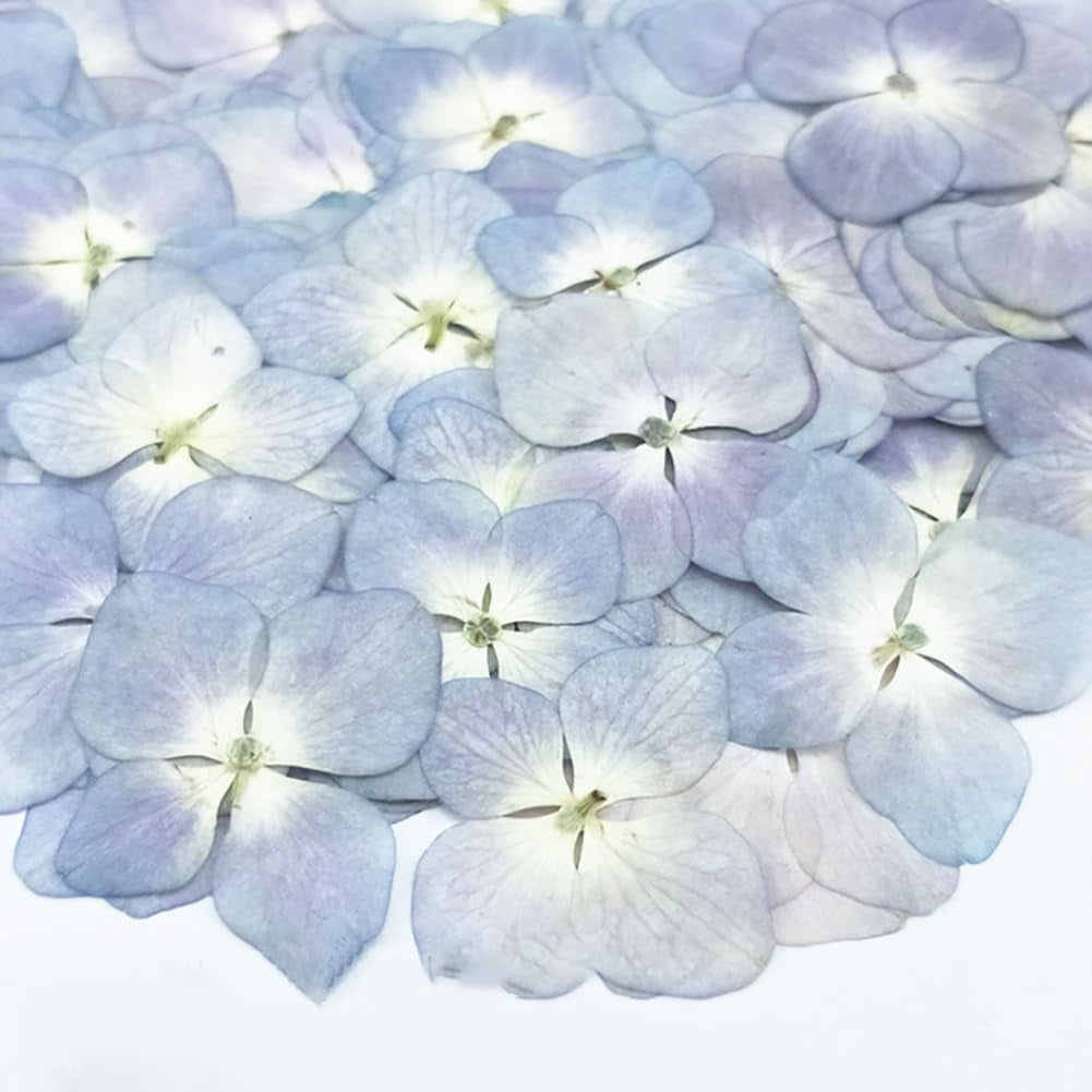 Blue Purple Hydrangea Dried Flowers, 96Pcs Natural Dried Pressed Flower ...