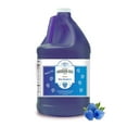 Under the Sun Products Blue Raspberry Snow Cone Syrup 1 Gallon ...