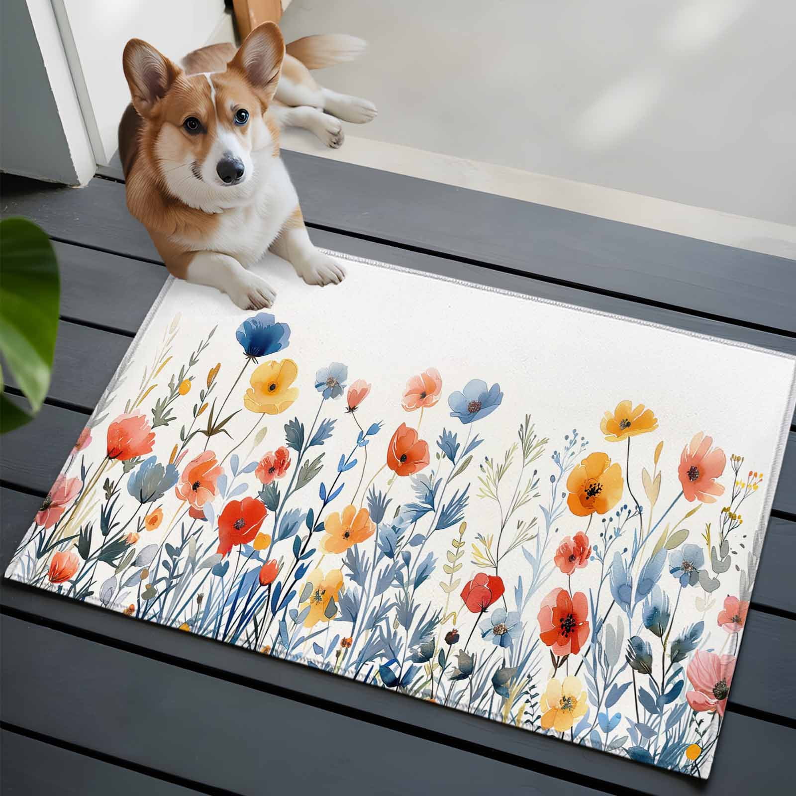 Blue Red Front Door Rugs 2x3 ft and Yellow Poppy Watercolor Floral ...
