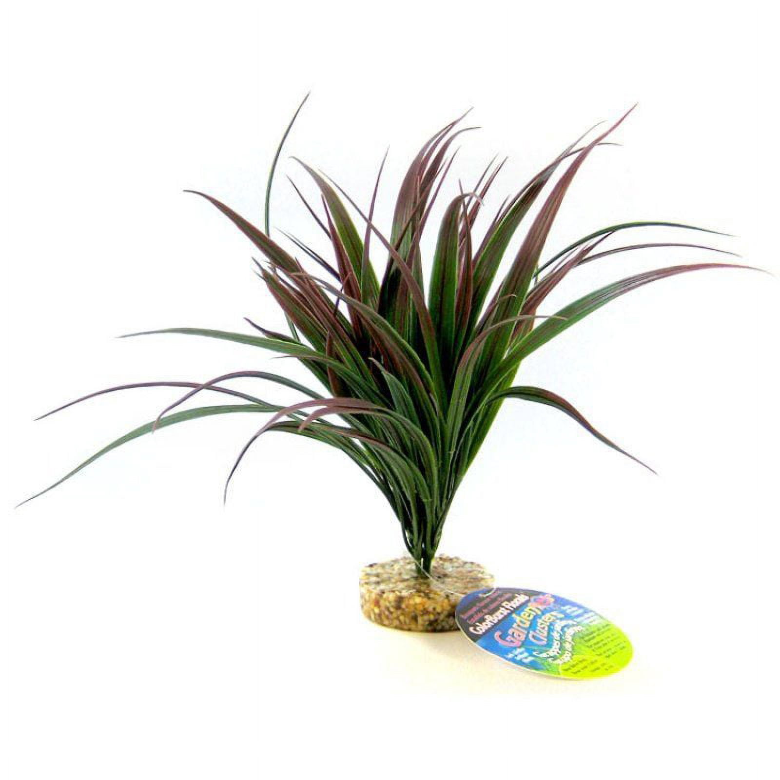 Blue Ribbon Amazonian Plant with Gravel Base Plum "10"" Tall"[ PACK OF ...