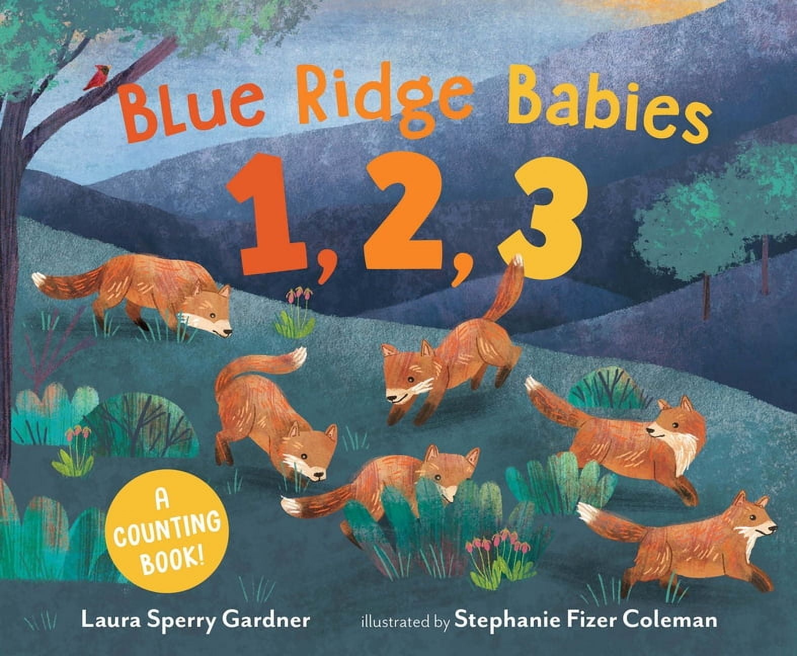 Blue Ridge Babies 1, 2, 3: A Counting Book, (Hardcover) - Walmart.com