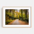 Blue Ridge Parkway North Carolina Forest Autumn Nature Scenic Landscape ...