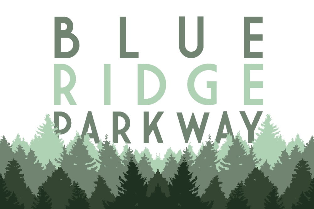 Blue Ridge Parkway, Pine Trees (24x36 Giclee Gallery Art Print, Vivid ...
