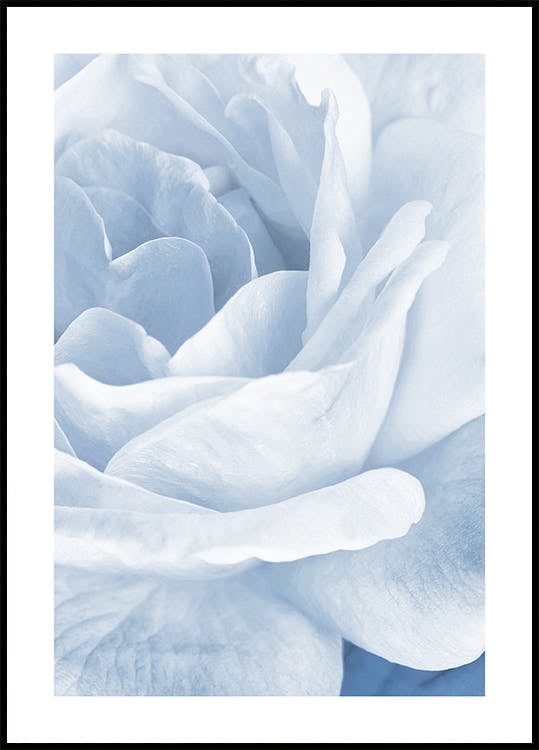 Blue Rose Poster Wall Art, Modern Wall Decor For Living Room Bedroom ...