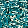 Blue Sharks Gummy Candy ESF27 | 2 Pound Bag | Fruity Shark Gummies ...
