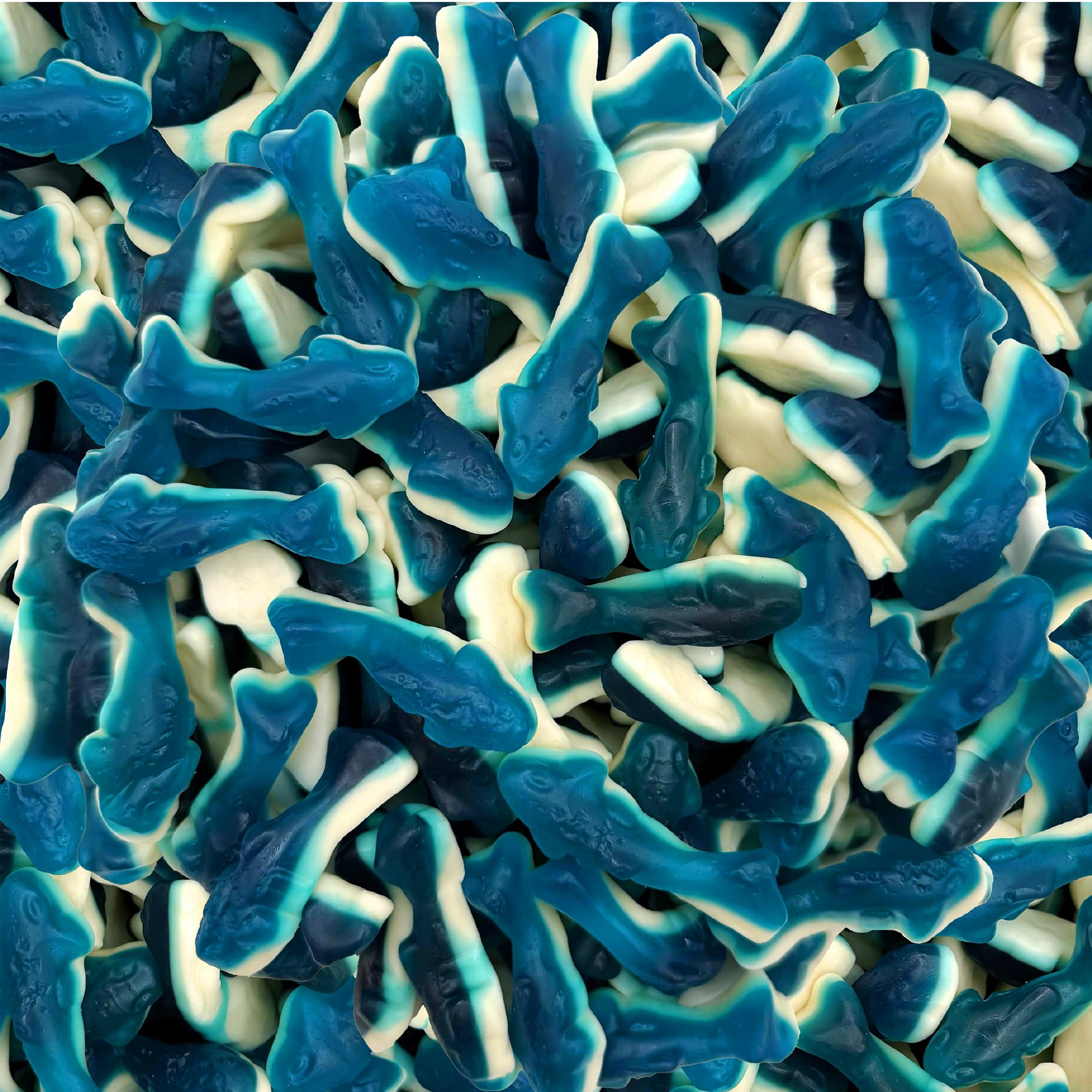 Blue Sharks Gummy Candy | MDA05 1 Pound Bag | Fruity Shark Gummies ...