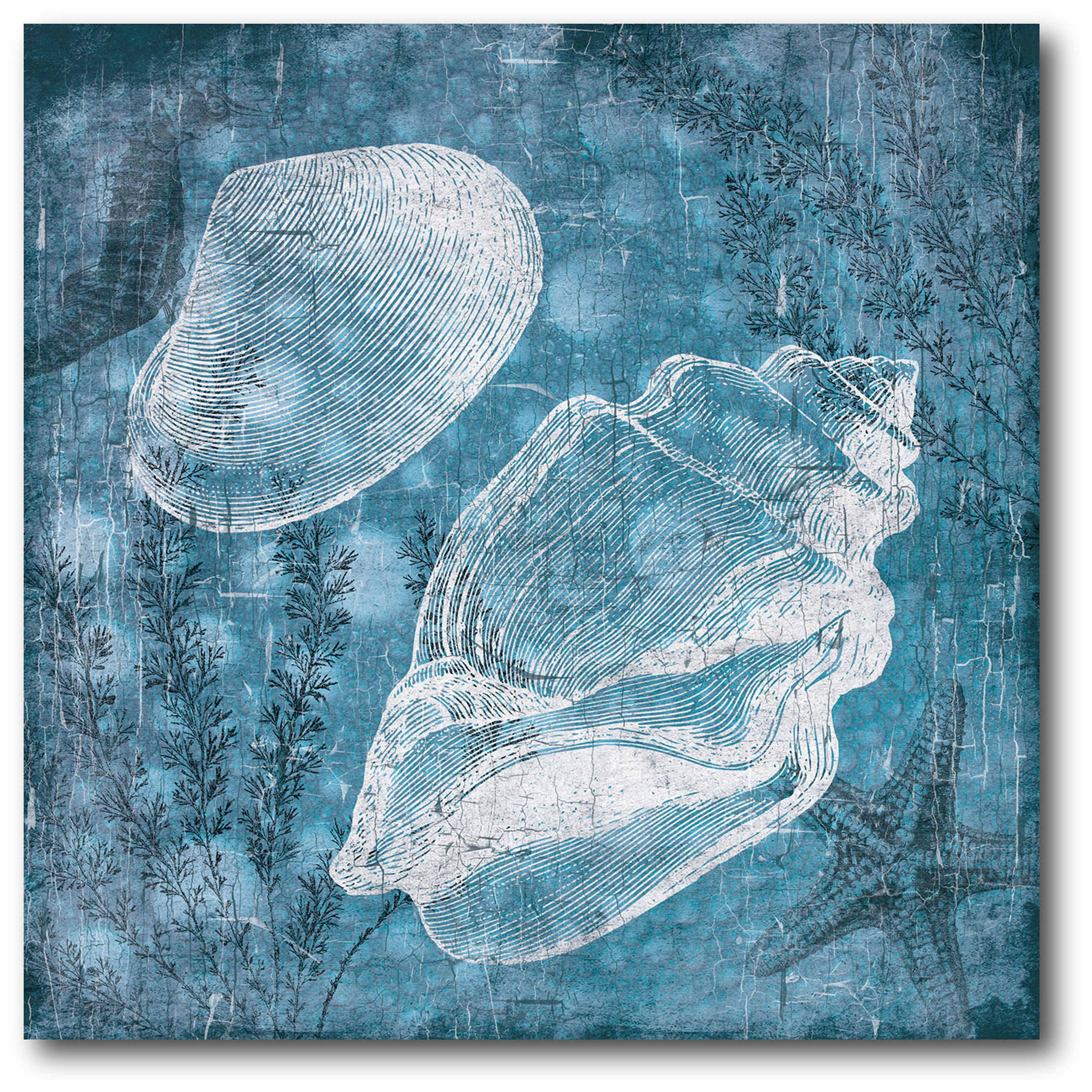 Blue Shells I Gallery-Wrapped Canvas Wall Art, 16x16 - Walmart.com