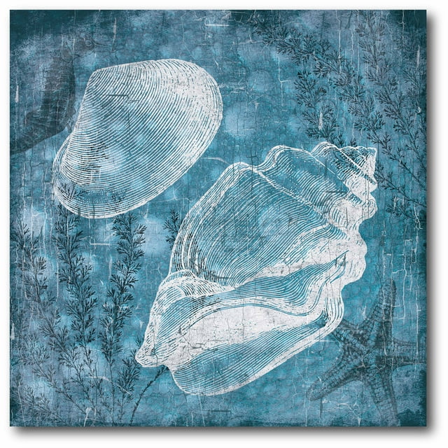 Blue Shells I Gallery-Wrapped Canvas Wall Art, 16x16 - Walmart.com