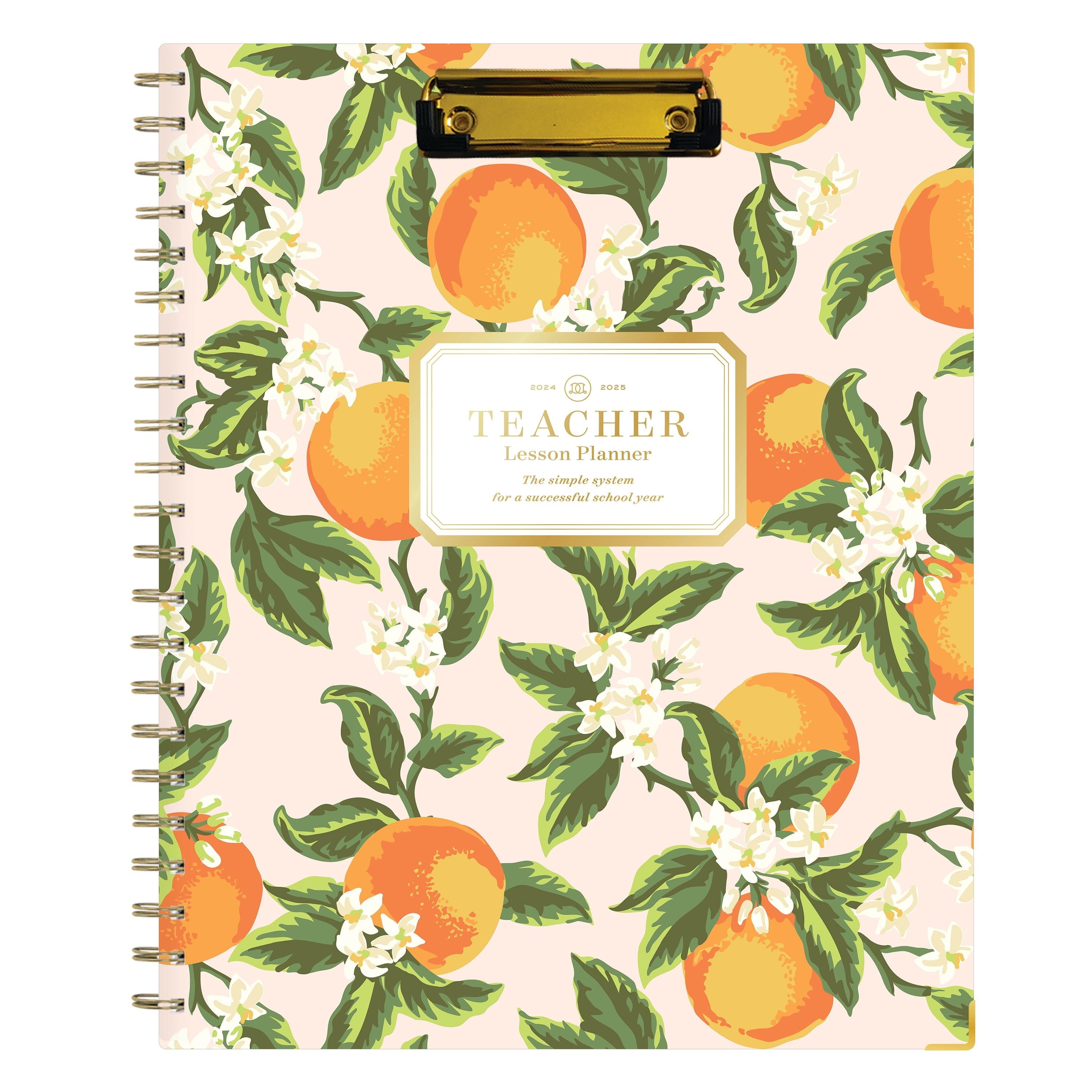Day Designer 8.5x11 Teacher Planner, School Schedule, Orange Blush ...