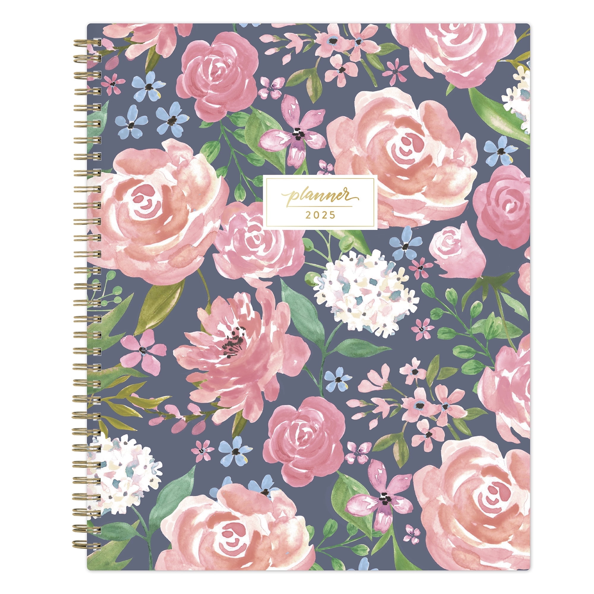 Blue Sky 2025 15-Month Weekly Monthly Planner, 8.5 x 11, Alya - Walmart.com