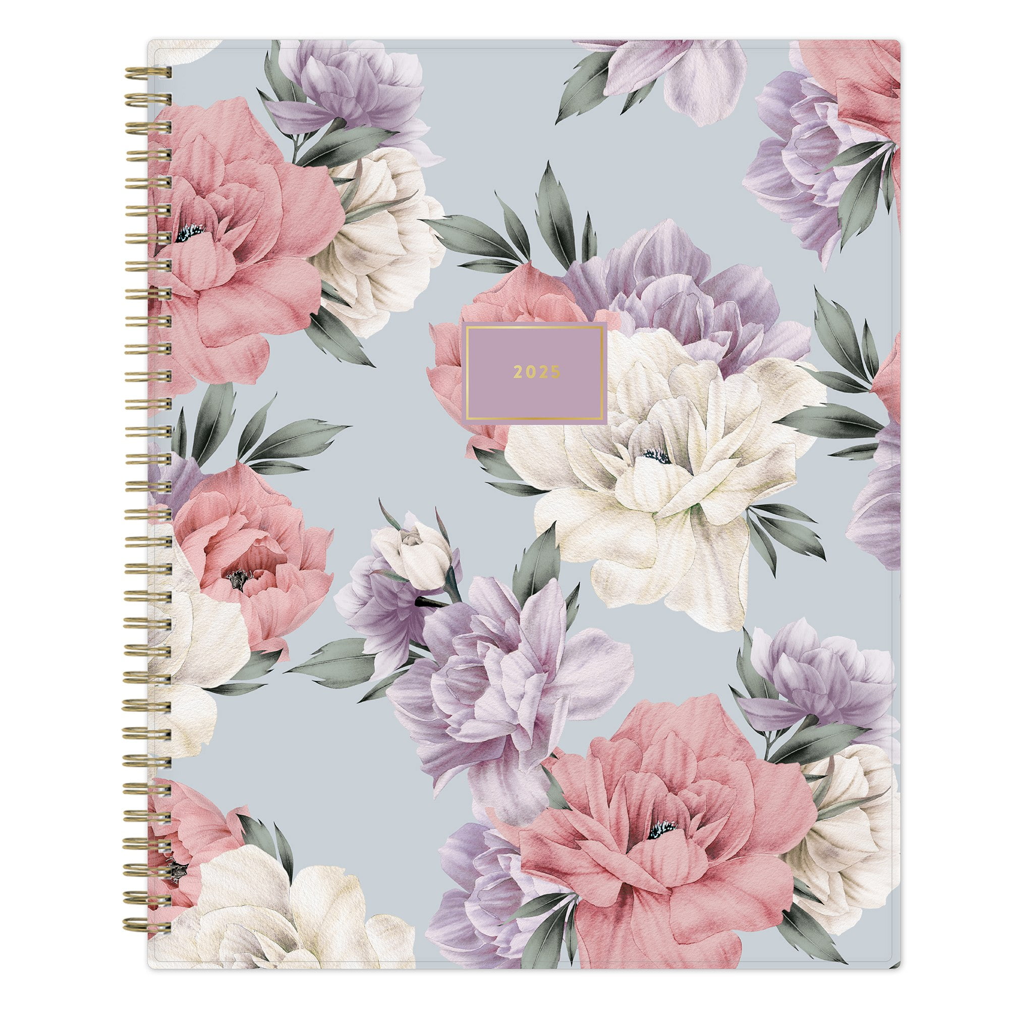 Blue Sky 2025 Weekly/Monthly Planner & Appointment Book, 8.5" x 11 ...