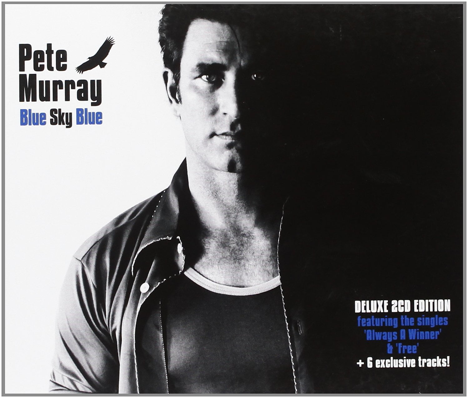 Sky Blue Pete Murray (CD) - Walmart.com