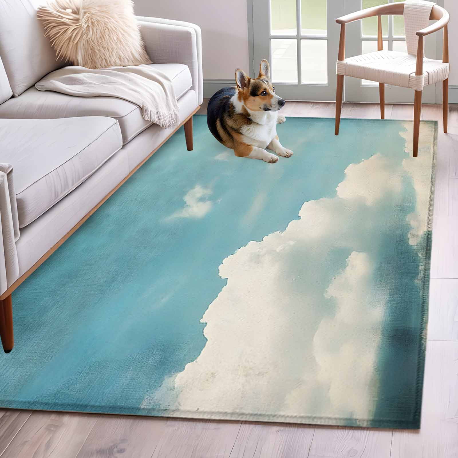 Blue Sky Cloud 2.7x5 Rug for Office Desk Chair Area Small Bedroom ...