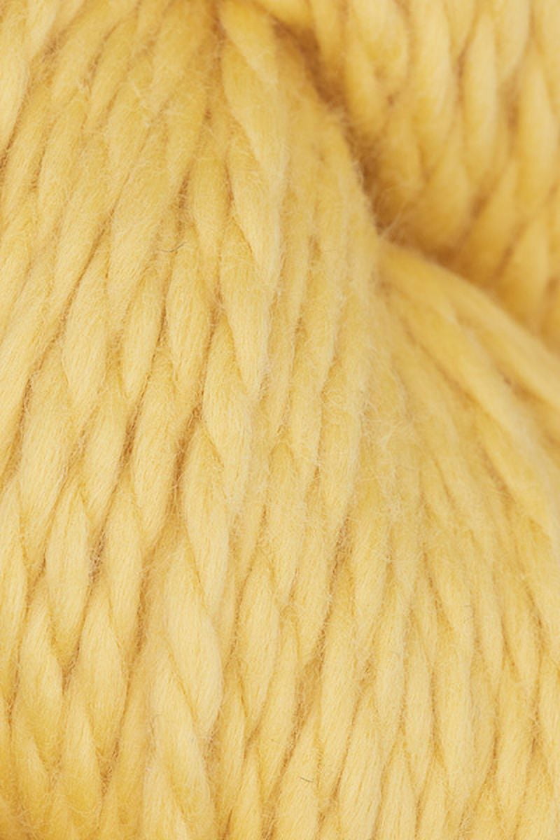Blue Sky Fibers - Organic Cotton Knitting Yarn - Dandelion (# 638 ...