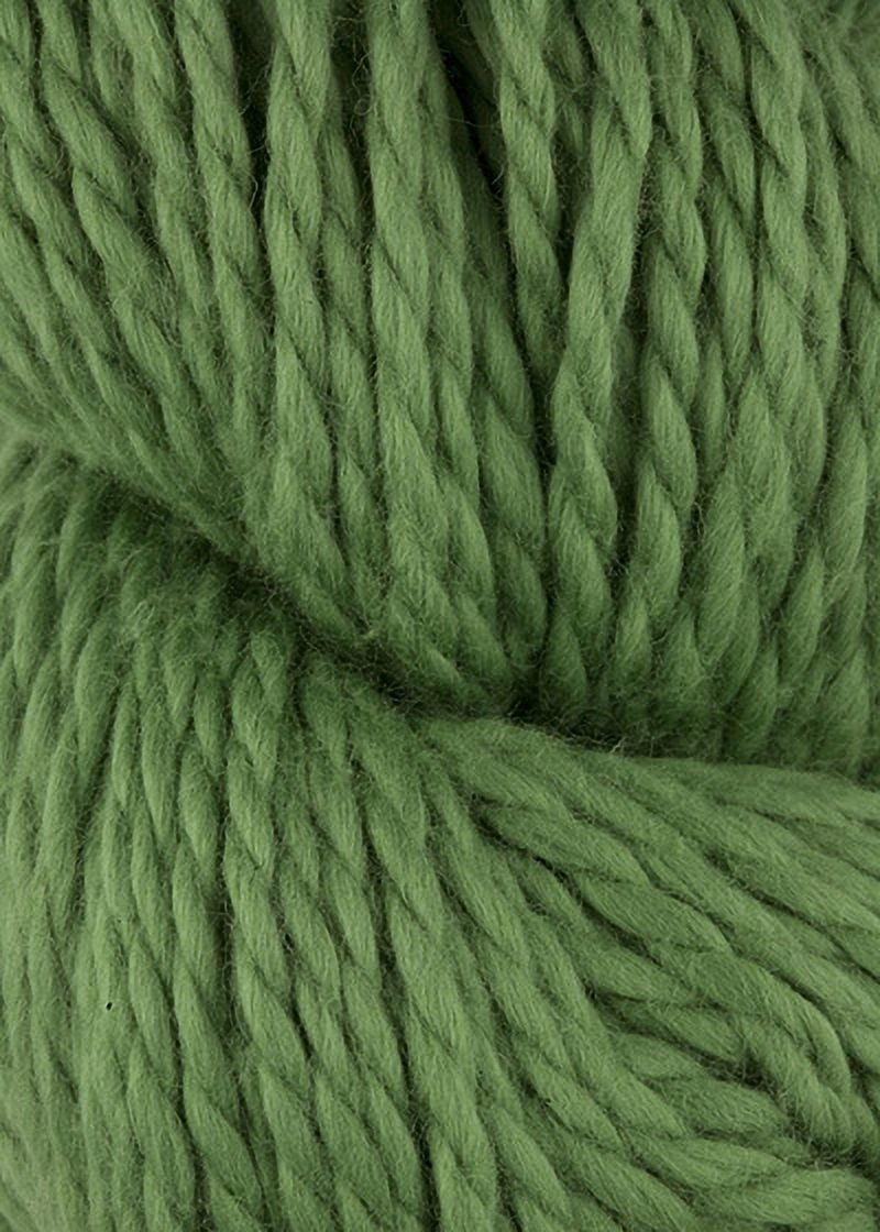 Blue Sky Fibers - Organic Cotton Knitting Yarn - Pickle (# 633 ...