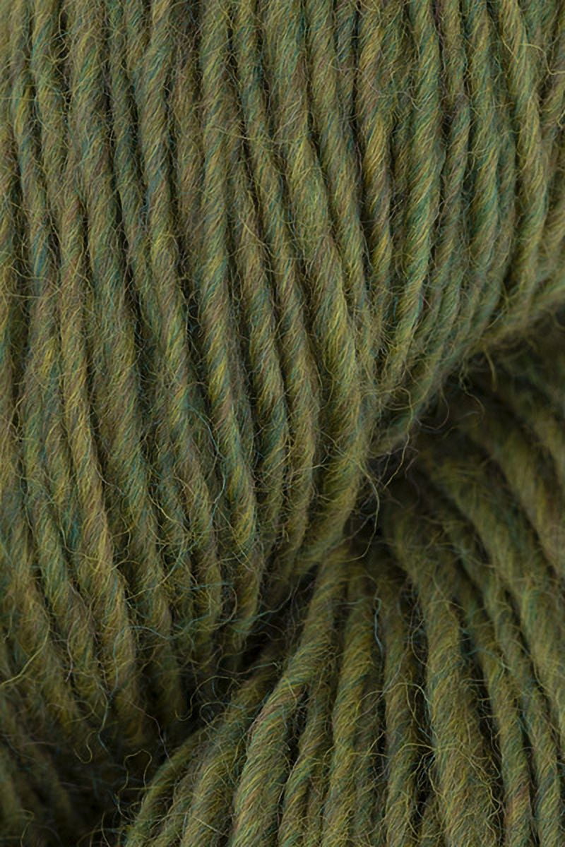 Blue Sky Fibers - Woolstok Light Knitting Yarn - Earth Ivy (# 2309 ...