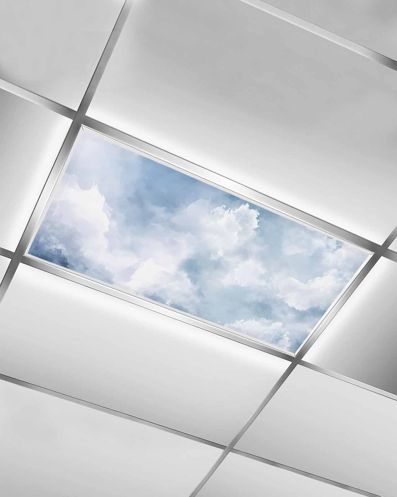Blue Sky Fluorescent Light Covers for Ceiling Lights 4x2 feet,1 Pack ...