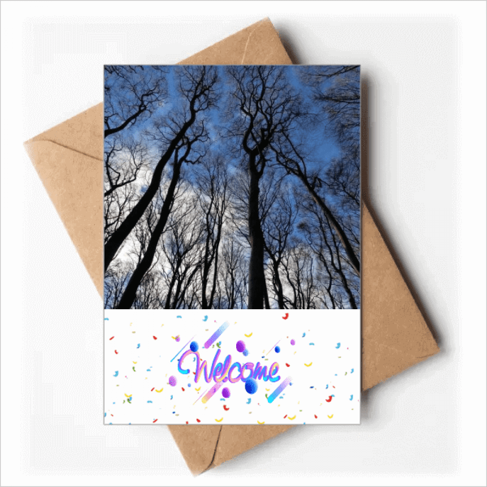 Blue Sky Green Forestry Science Nature Scenery Welcome Back Greeting ...