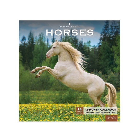 Blue Sky Calendars in Calendars and Planners - Walmart.com