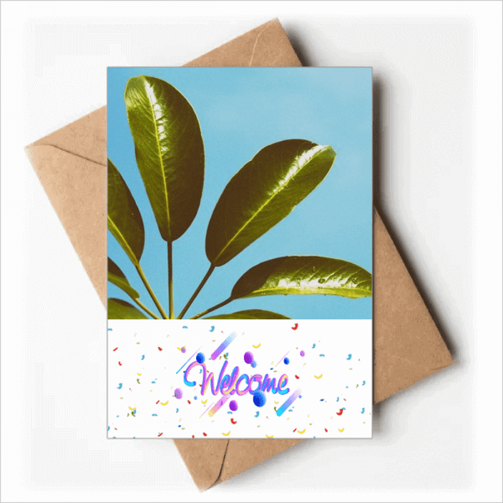 Blue Sky Picture Nature Welcome Back Greeting Cards Envelopes Blank ...