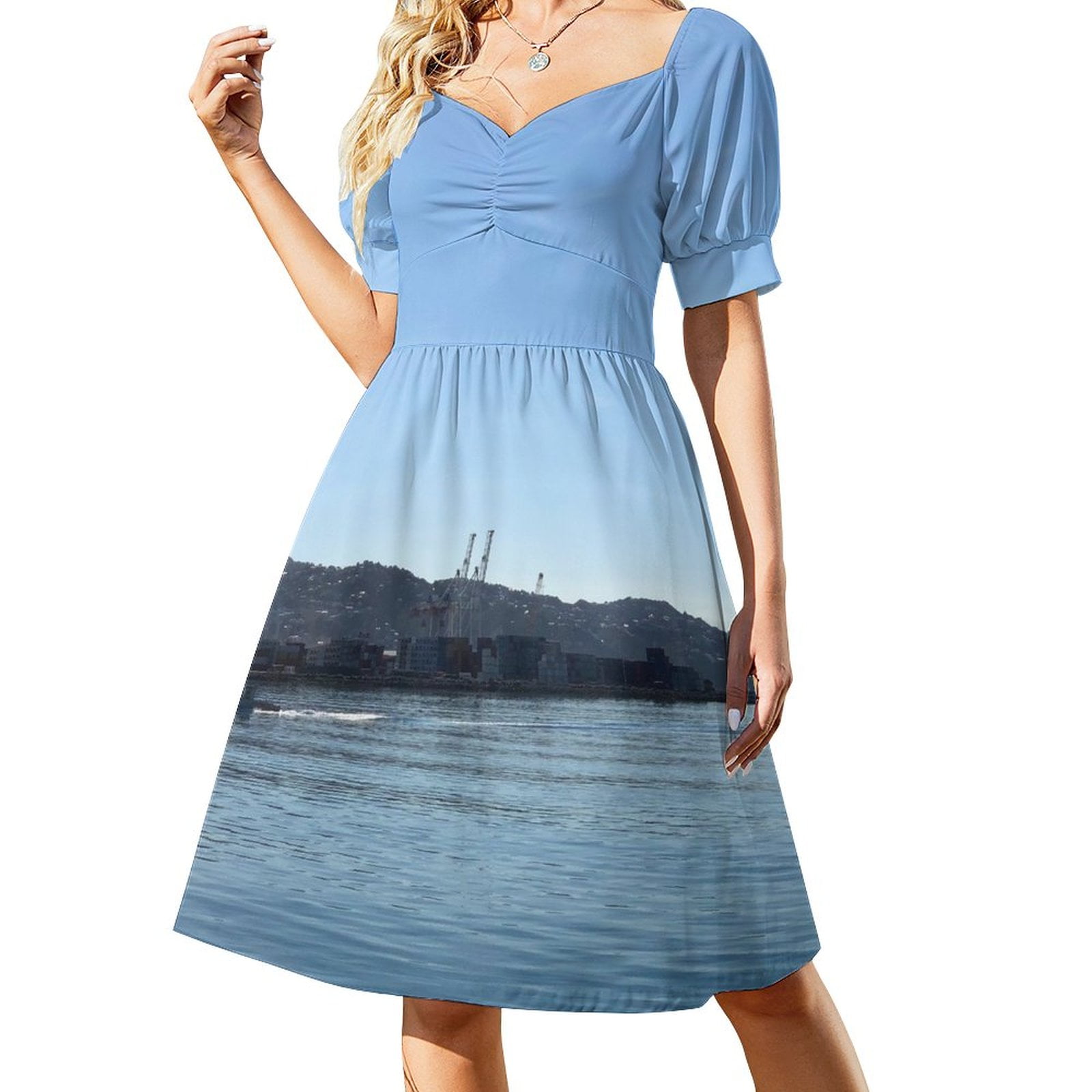 Blue Sky Wellington Harbour Sleeveless Dress evening dress clothing ...