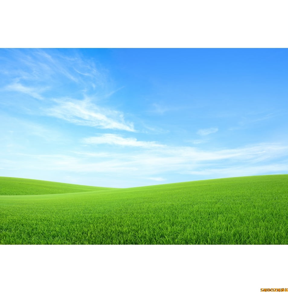 Blue Sky White Cloud Prairie Backdrop Birthday Party Outdoor Travel ...