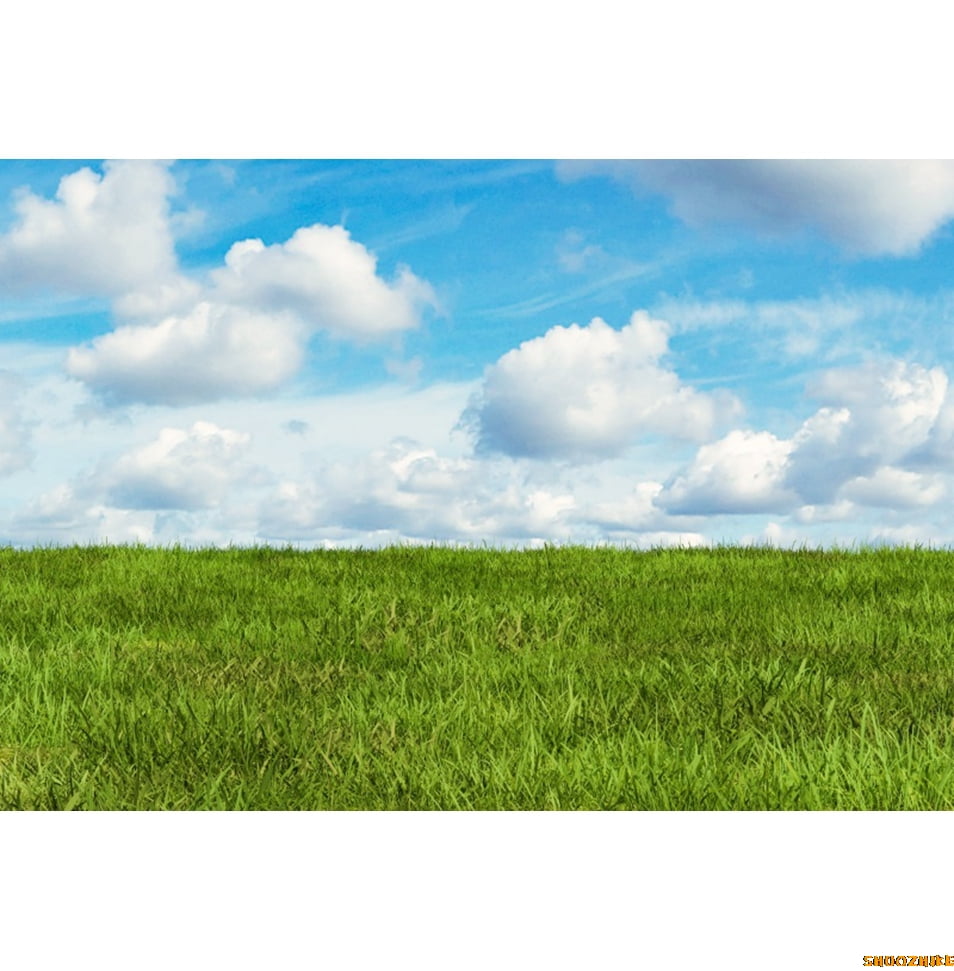 Blue Sky White Cloud Prairie Backdrop Birthday Party Outdoor Travel ...