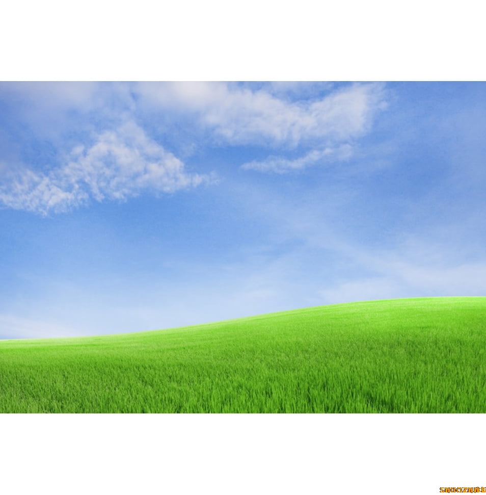 Blue Sky White Cloud Prairie Backdrop Birthday Party Outdoor Travel ...