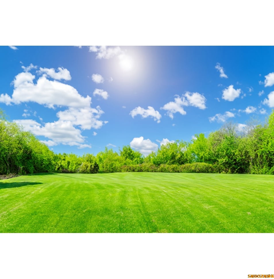 Blue Sky White Cloud Prairie Backdrop Birthday Party Outdoor Travel ...